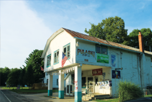 Pulaski Township Michigan